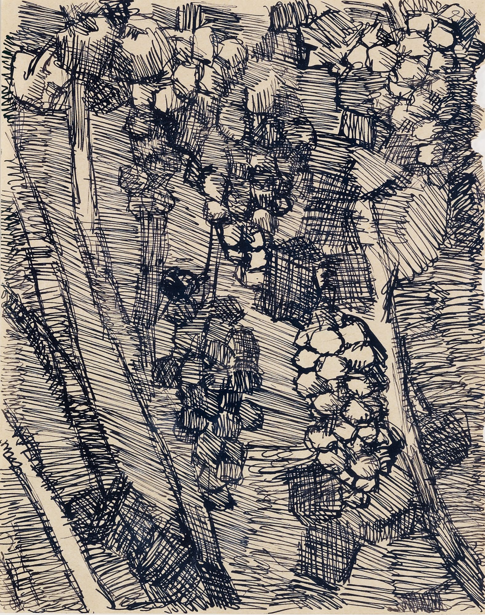 Les raisins - Louis Soutter - WikiArt.org